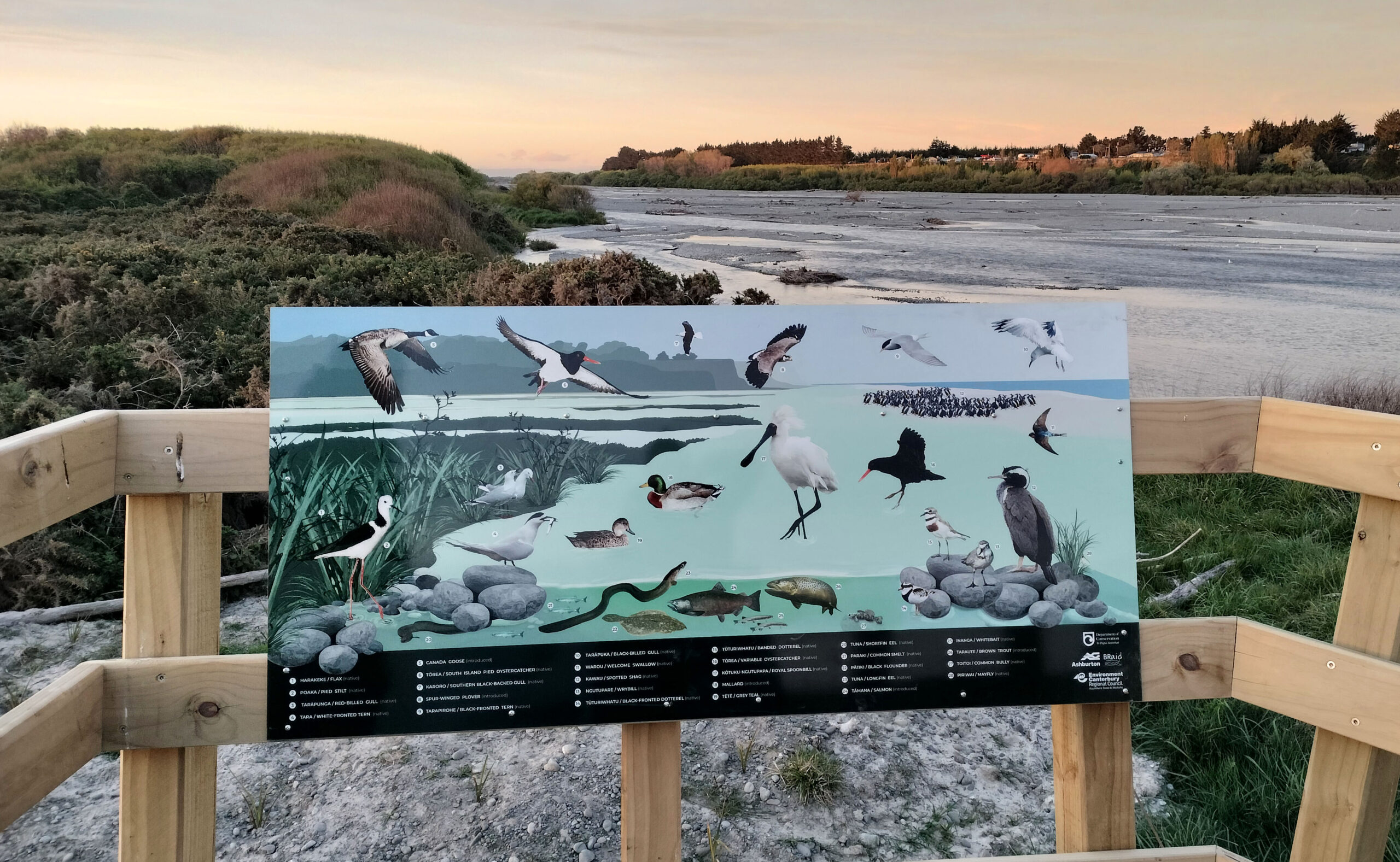 signs – BRaided Rivers New Zealand