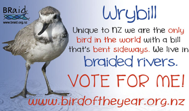 Newsletter #102 – BRaided Rivers New Zealand